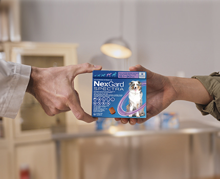 NexGard Spectra® | The most complete protection against parasites in ...